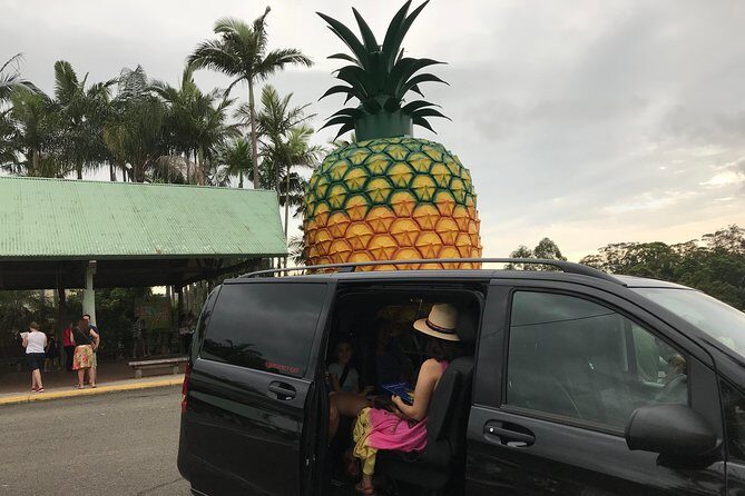 Private Transfer from Noosa to Sunshine Coast Airport up to 3 pax - FAQs