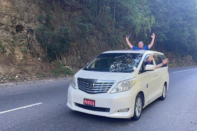 Private Transfer From Norman Manley Airport to Kingston one way - The Experience: What You Can Expect