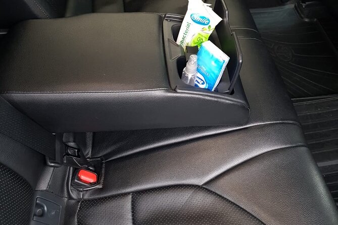 Private Transfer from Nursultan Nazarbayev (NQZ) Airport to Astana - Key Points