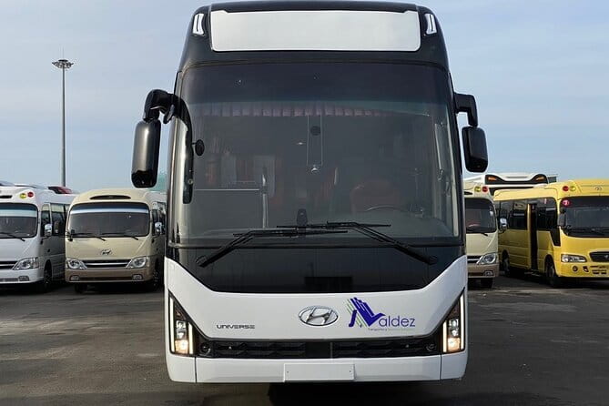 Private Transfer From or to Punta Cana Airport to hotels in Bávaro - The Experience in Context