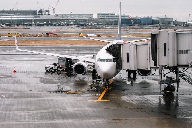 Private Transfer from Paris to CDG and Orly Airport - Authentic Traveler Insights