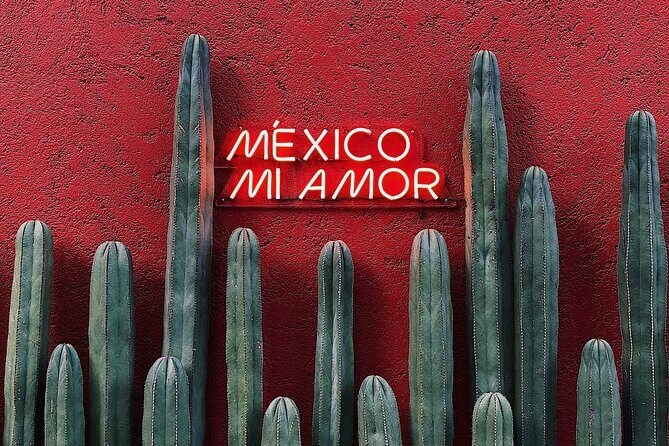 Private Transfer from Playa del Carmen to Tulum - Who Should Consider This Transfer?