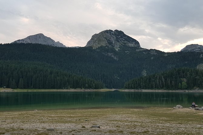 Private transfer from Podgorica Airport and city to abljak - Cost and Value