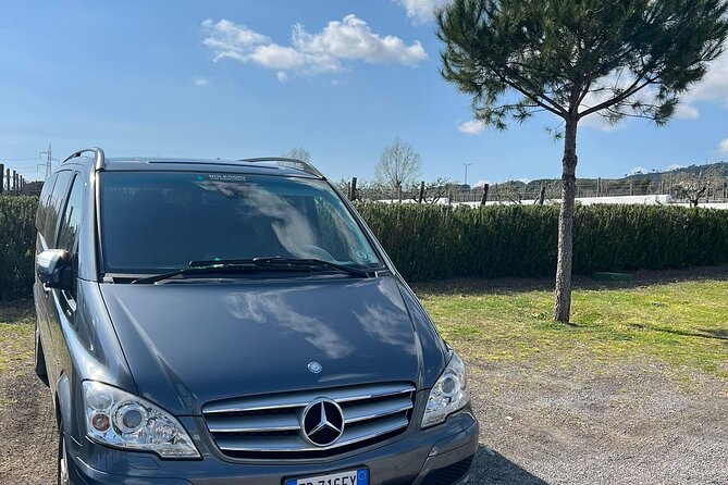 Private Transfer from Positano to Naples Airport - FAQ