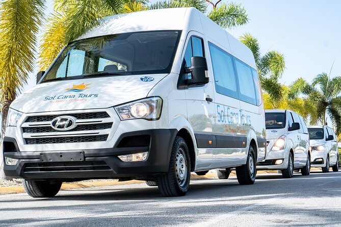 Private Transfer from Punta Cana Airport to Bayahibe Hotels - Who Will Benefit Most?