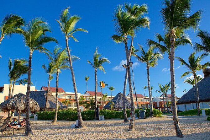 Private Transfer from Punta Cana Airport to Zona Hotels - Key Points