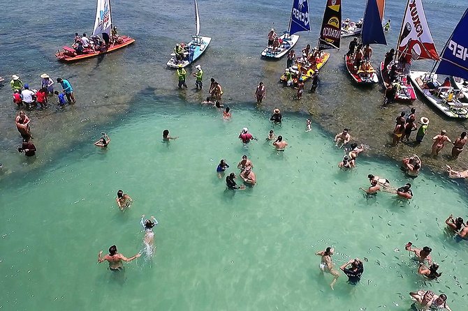 Private Transfer From Recife Airport to Porto De Galinhas - Customer Feedback and Reviews