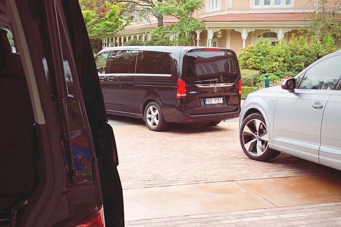 Private Transfer from Roissy CDG Airport to Disneyland Paris - Introduction