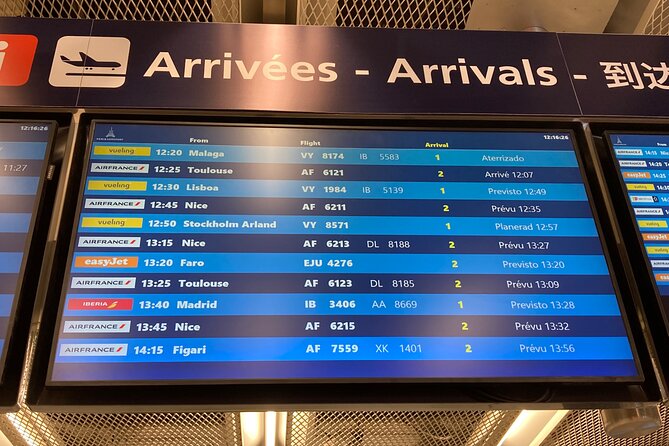 Private Transfer from Roissy CDG Airport to Disneyland Paris - Meeting Points and Logistics