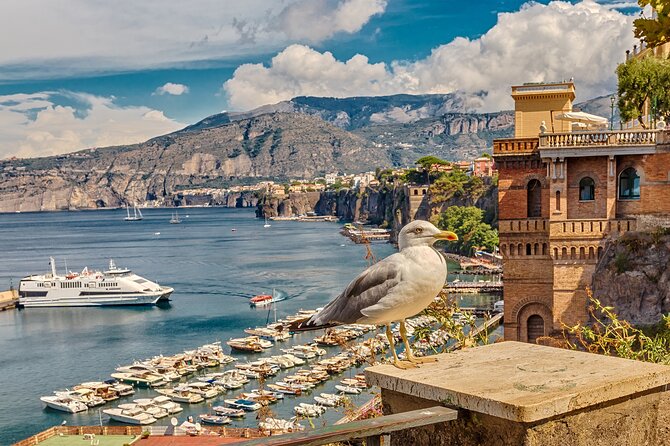 Private transfer from Rome to Sorrento - Final Thoughts