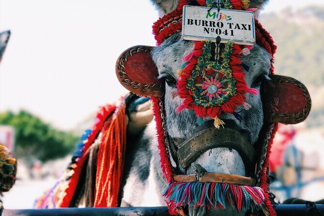 Private Transfer from San Miguel de Allende to Mexico City - FAQs