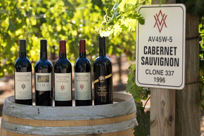 Private transfer from SFO to or from Healdsburg - Why Choose This Transfer?