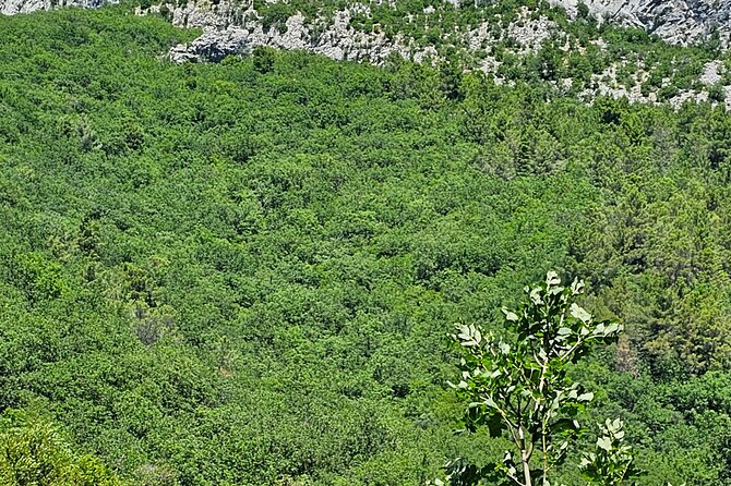 Private Transfer from Split Croatia Airport to Hotel - Who Will Benefit Most?