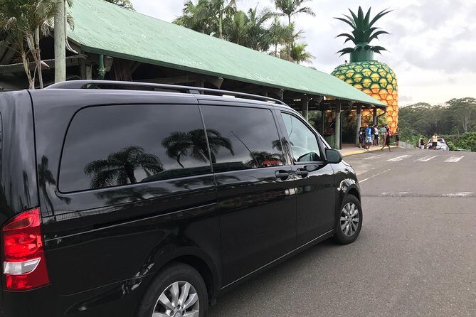 Private Transfer from Sunshine Coast Airport to Noosa 7 seater + Luggage Trailer - The Sum Up