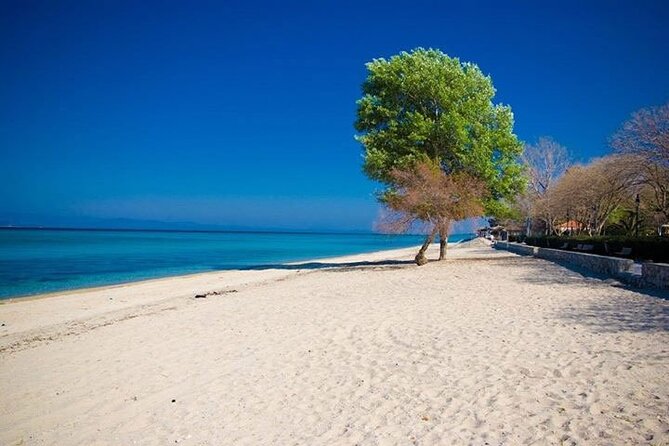 Private Transfer From Thessaloniki Airport to Sani Resort - Personalized Experience