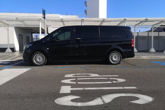 Private Transfer From/To Airport or Port or Rome City. - Customer Testimonials and Satisfaction