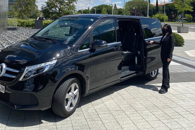 Private Transfer from/to Rome Termini to/from Rome hotel - Who Is This Service Best For?