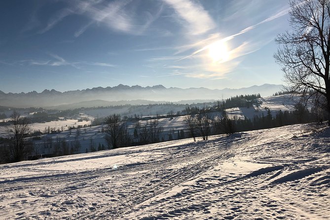 Private Transfer From/To the Krakow Airport - Safety and Reliability