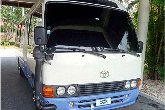 Private Transfer from Uvero Alto to Punta Cana Airport - Who Is This Service Best For?