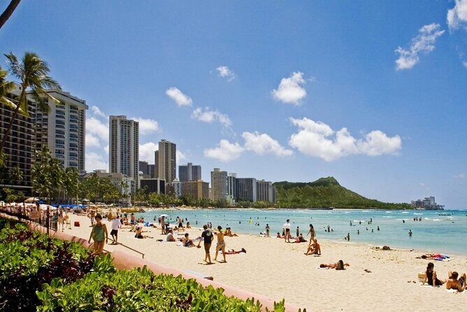 Private Transfer: Honolulu to Honolulu Airport HNL in Sedan Car - The Itinerary and What to Expect