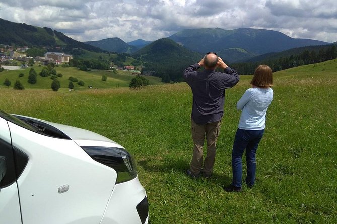 Private Transfer in a Sanitized Car Prague to Vienna With 2h Stop Cesky Krumlov - Driver Expertise and Personalized Service