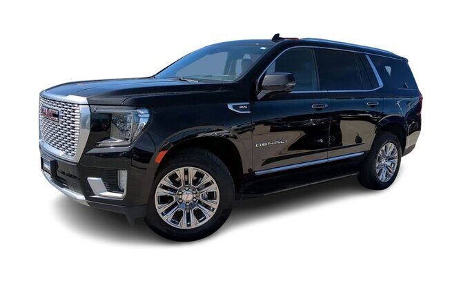 Private Transfer in Las Vegas with Personal Driver - Introduction