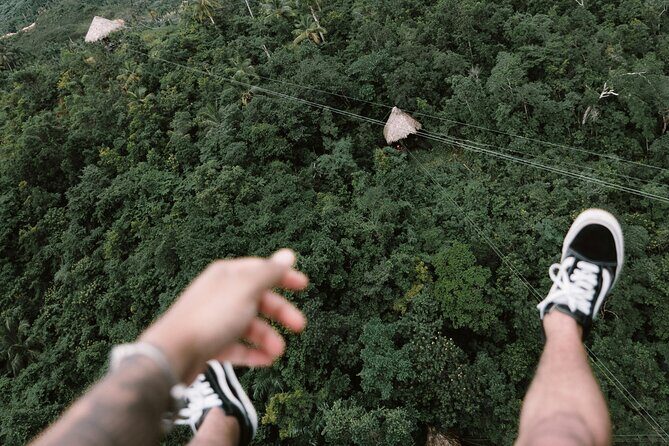 Private Transfer in Punta Cana, Hotels and Airport - What Makes It Stand Out