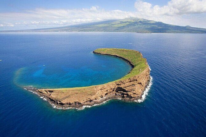 Private Transfer Kahului Airport OGG to Maui Kihei Lahaina Wailea - The Experience in Detail
