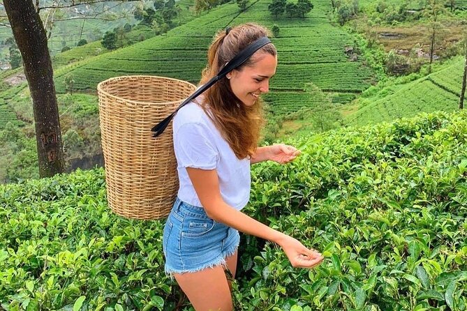 Private Transfer - Kandy to ella drop off and pick up - Final Thoughts