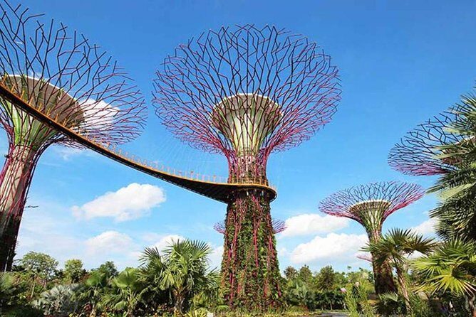Private Transfer : Kuala Lumpur to Singapore - The Sum Up