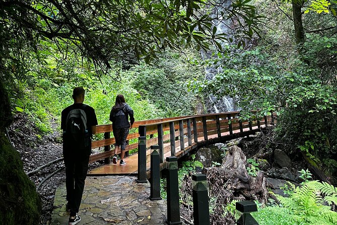 Private Transfer: Kutaisi Airport to Batumi - The Sum Up