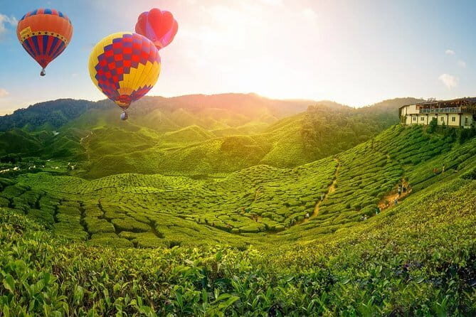 Private Transfer : National Park Kuala Tahan to Cameron Highlands - Final Thoughts
