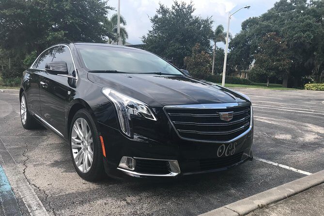 Private Transfer: Orlando Airport MCO to Lake Buena Vista Hotels - Introduction