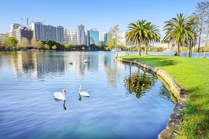 Private Transfer: Orlando Airport MCO to Orlando in Luxury SUV - Practical Experience Breakdown