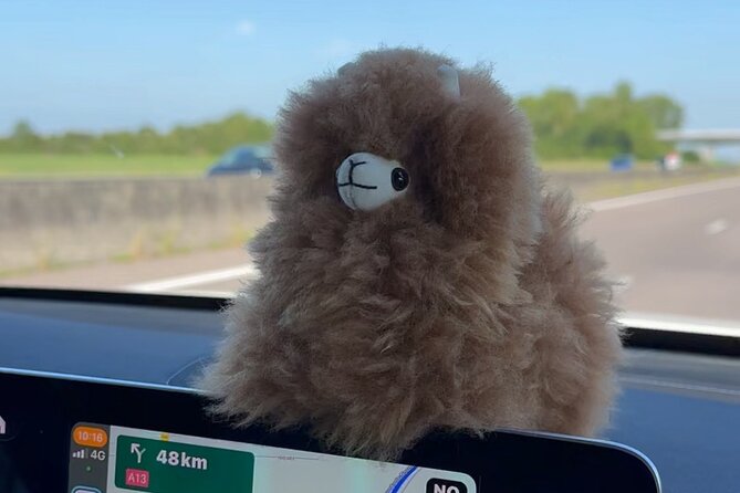 Private Transfer Paris from and to Airport (CDG, Orly, Beauvais) - A Practical Review of the Paris Airport Transfer Service