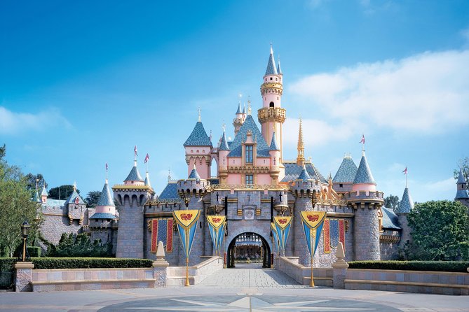 Private Transfer: Paris to Disneyland Park or Hotel by Luxury Van - Detailed Breakdown of the Journey
