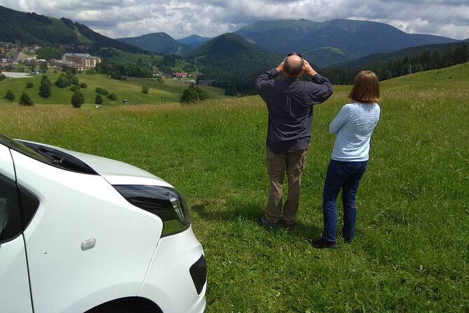 Private Transfer Prague to Passau or Passau to Prague With Stop in Cesky Krumlov - English-Speaking Driver and Amenities