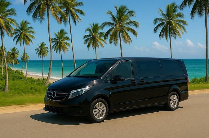 Private Transfer Punta Cana Airport (PUJ) - Miches Hotels - Who Should Book This?