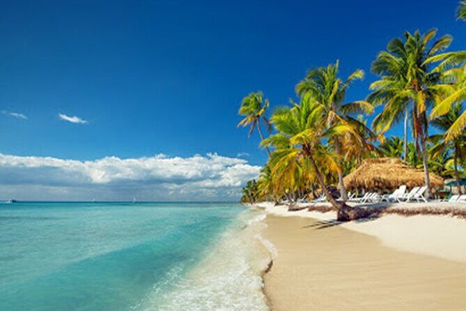 Private Transfer: Punta Cana Airport PUJ to Punta Cana or Bavaro in Van - Key Points