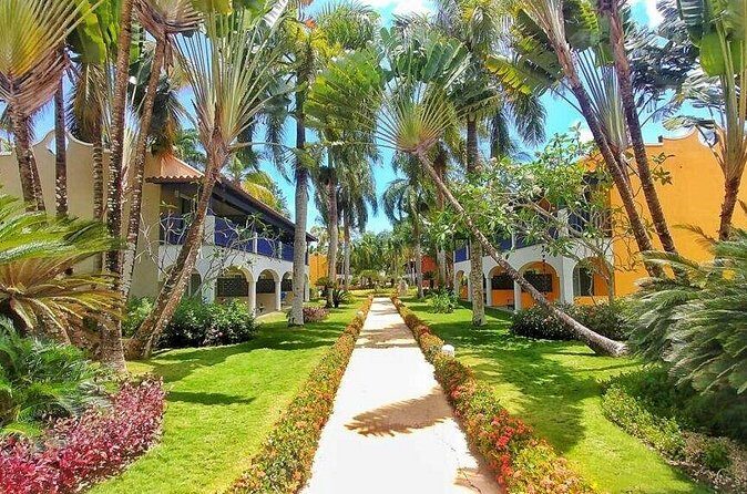 Private Transfer Punta Cana Airport to/from Catalonia Royal La Romana - Who Should Book This Transfer?