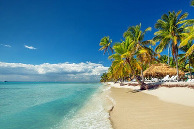 Private Transfer: Punta Cana or Bavaro to Punta Cana Airport PUJ in Van - Booking & Flexibility
