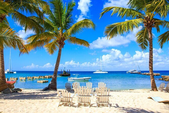 Private Transfer: Punta Cana or Bavaro to Punta Cana Airport PUJ in Van - Who Is This Transfer Best For?