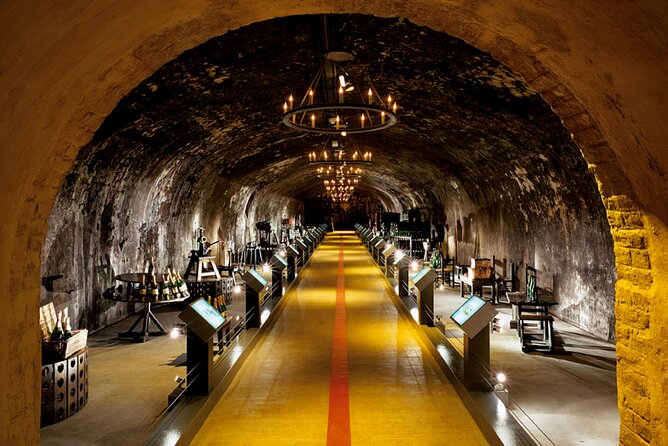 Private Transfer: Reims / Champagne to Paris Airport CDG by Van - Who Would Benefit Most?