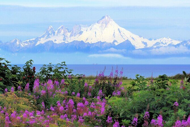 Private Transfer, Seward Cruise ship to Anchorage - FAQ