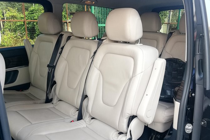 Private Transfer SORRENTO to ROME or vv (Pompeii stop optionable) - Who Should Consider This Service?