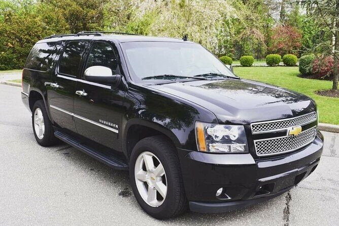 private transfer standard and premium punta cana airport / samana / galera - Who Will Love This Service?