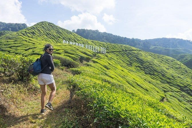 Private Transfer : Taman Negara Kuala Tahan to Cameron Highlands - Key Points