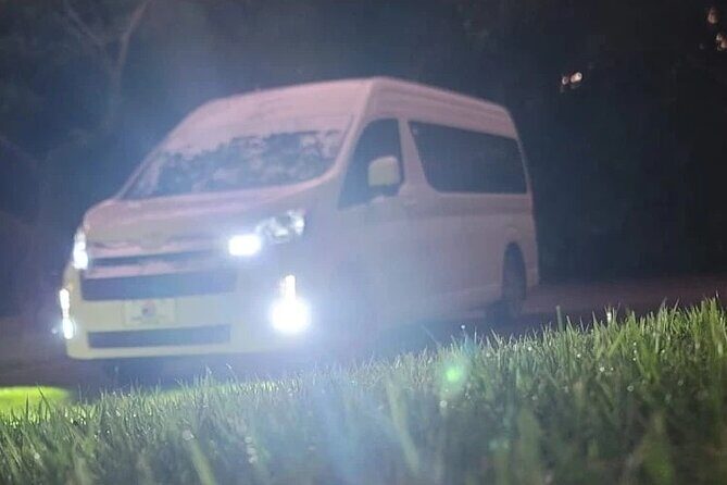 Private Transfer to and from Puerto Plata, Sosua, Cabarete - The Practicalities: Pricing, Duration, and Flexibility