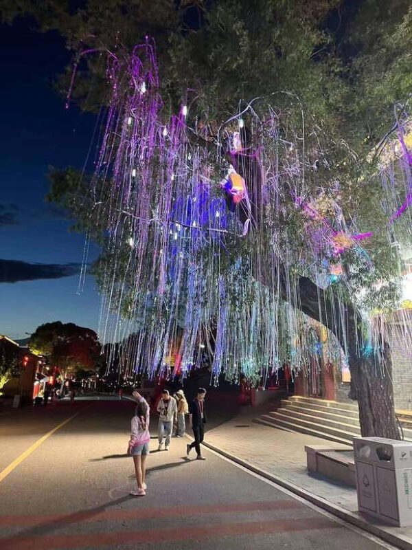 Private Transfer to Badaling Night Great Wall - Discover the Nighttime Magic of the Badaling Great Wall