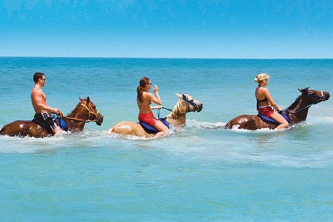 Private Transfer to Beach Horse Back Ride and Swim - What You Can Expect from This Jamaican Horseback Adventure